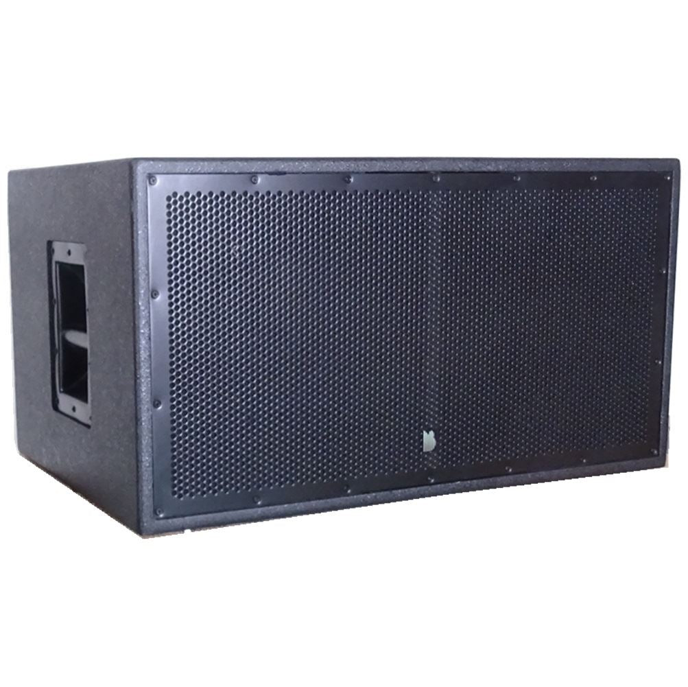 BishopSound Delta Dual 12" Active Powered Subwoofer 1000w RMS 18mm Bir ...